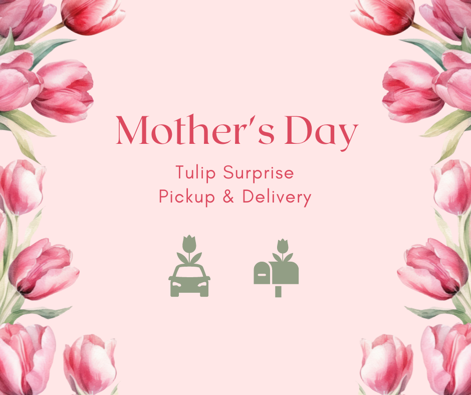 Mother's Day Tulips – Holland Ridge Farms