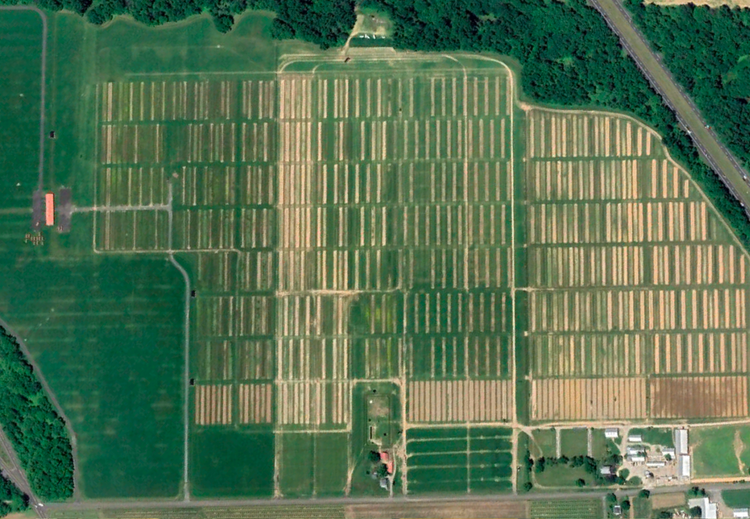 About Holland Ridge Farms | New Jersey’s Premier Flower Destination