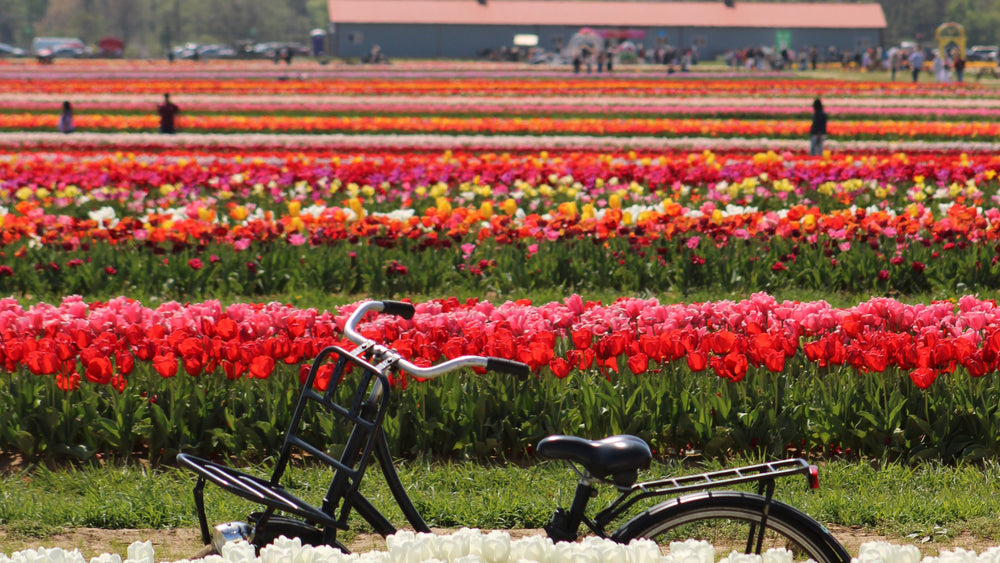 Group Trips to Holland Ridge Farms | Tours, Field Trips & Private Events