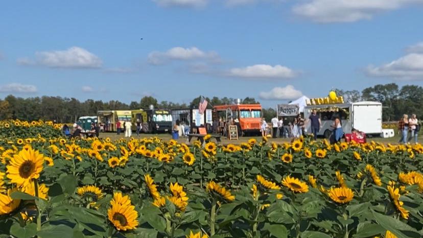 Group Trips Page – Holland Ridge Farms