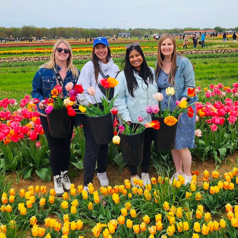 Holland Ridge Farms Windmill | Iconic Dutch Landmark in New Jersey