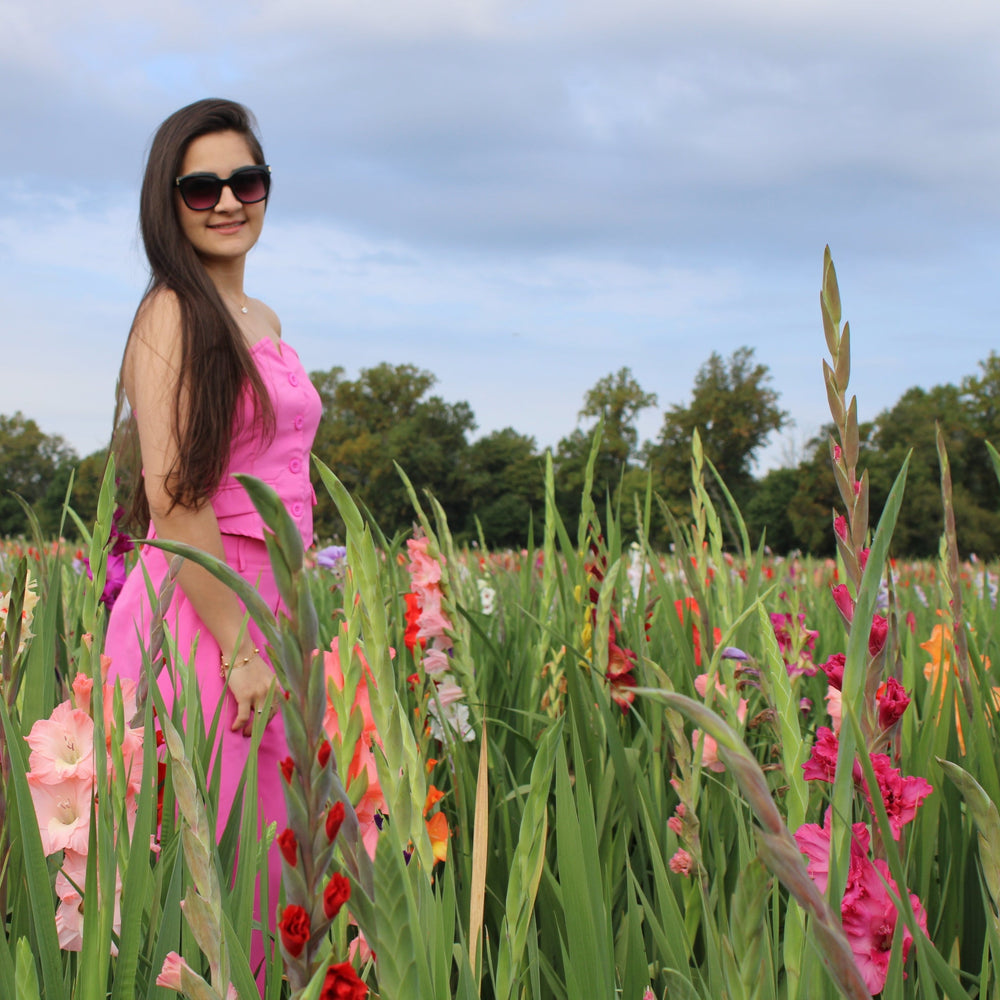 Holland Ridge Farms Windmill | Iconic Dutch Landmark in New Jersey
