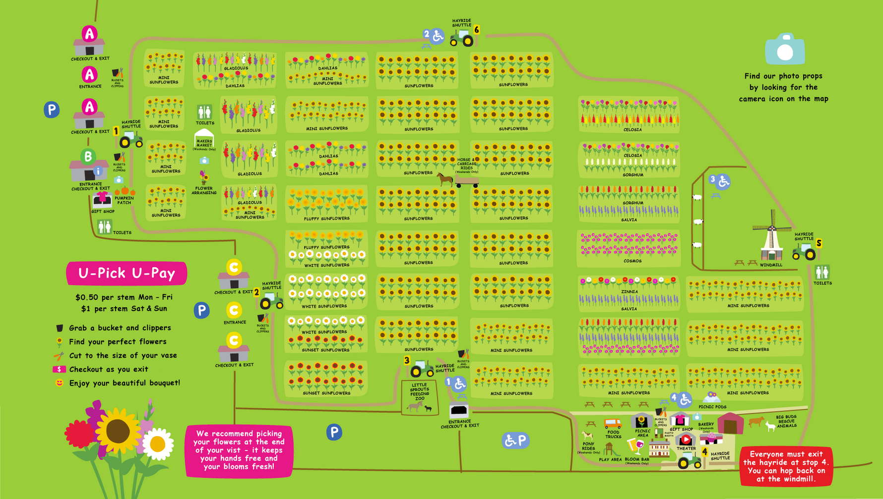 U-Pick Sunflowers Fall Festival | Holland Ridge Farms New Jersey