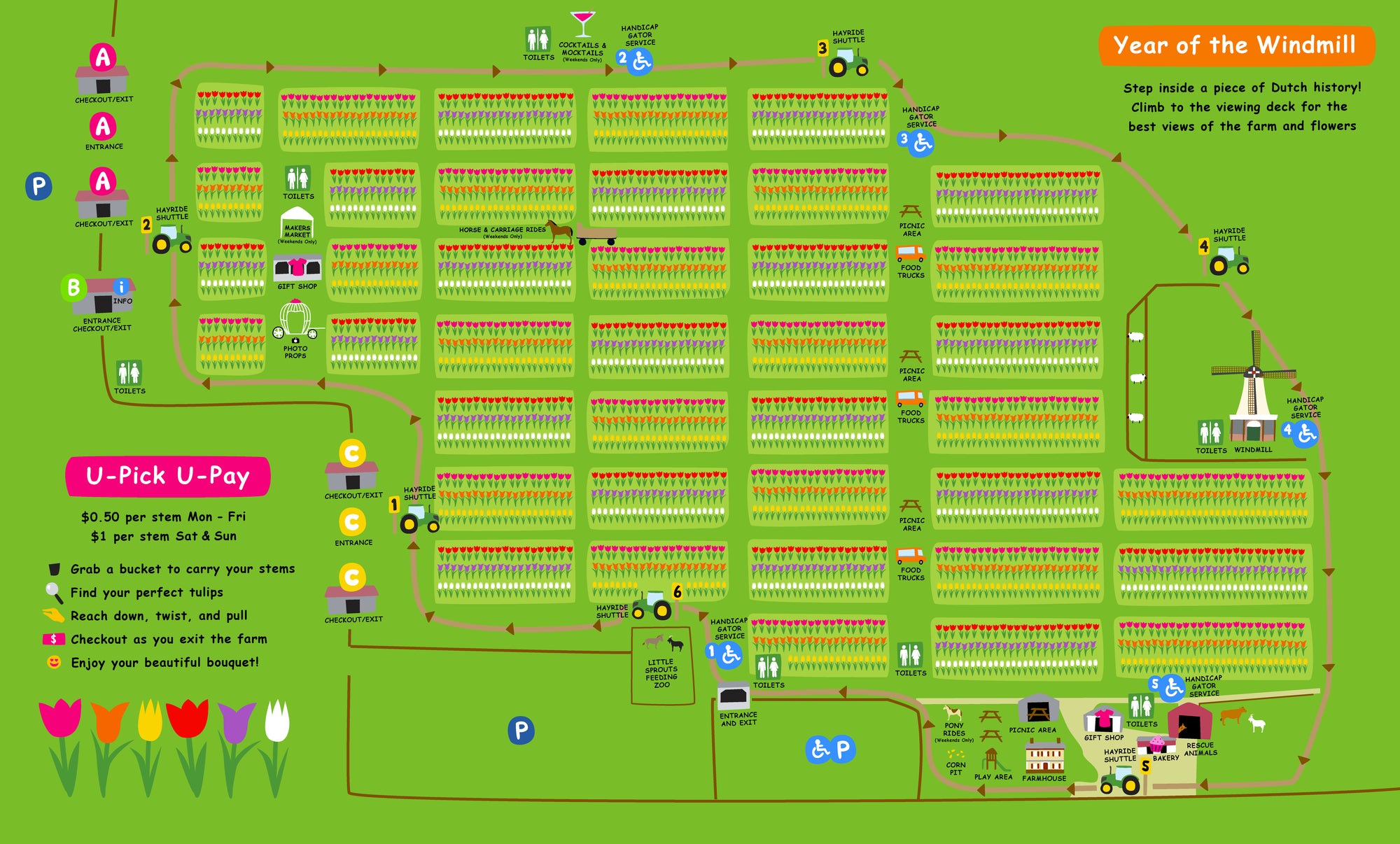 U-Pick Tulips NJ | Spring Flower Fields at Holland Ridge Farms