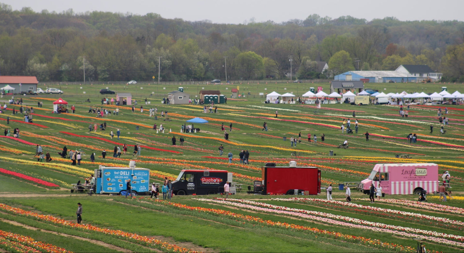 Food Trucks – Holland Ridge Farms