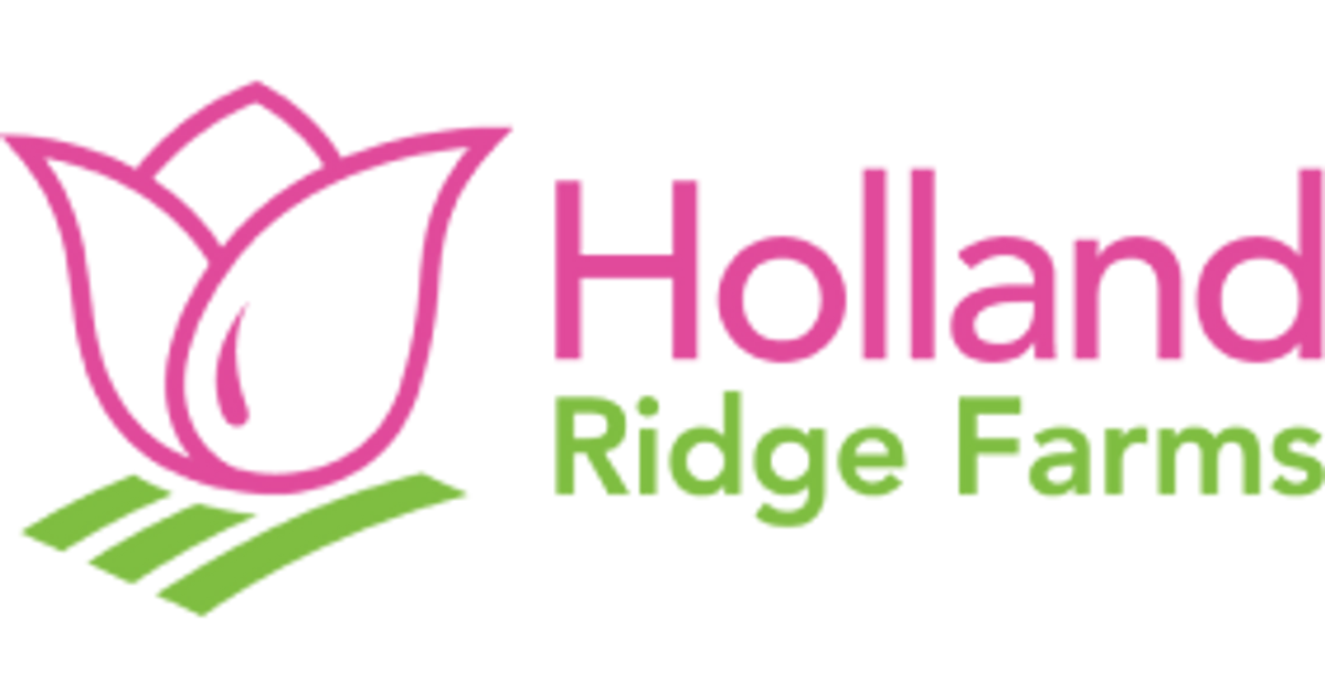 U-Pick Tulips NJ | Spring Flower Fields at Holland Ridge Farms